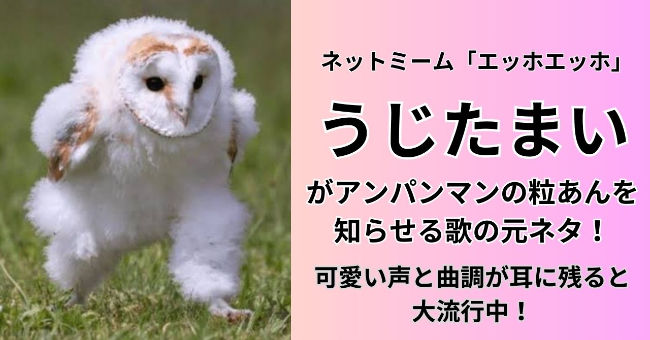 【何者】ラッパーNENEのwiki経歴！プロフ・学歴や波乱万丈な生き様を紹介！ - Buzzium